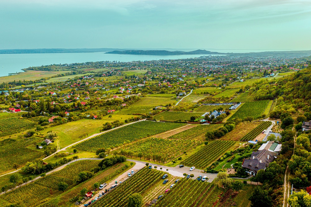 Csopaki Olaszrizling at Its Best – Villa Gyetvai and the Balatonfüred ...
